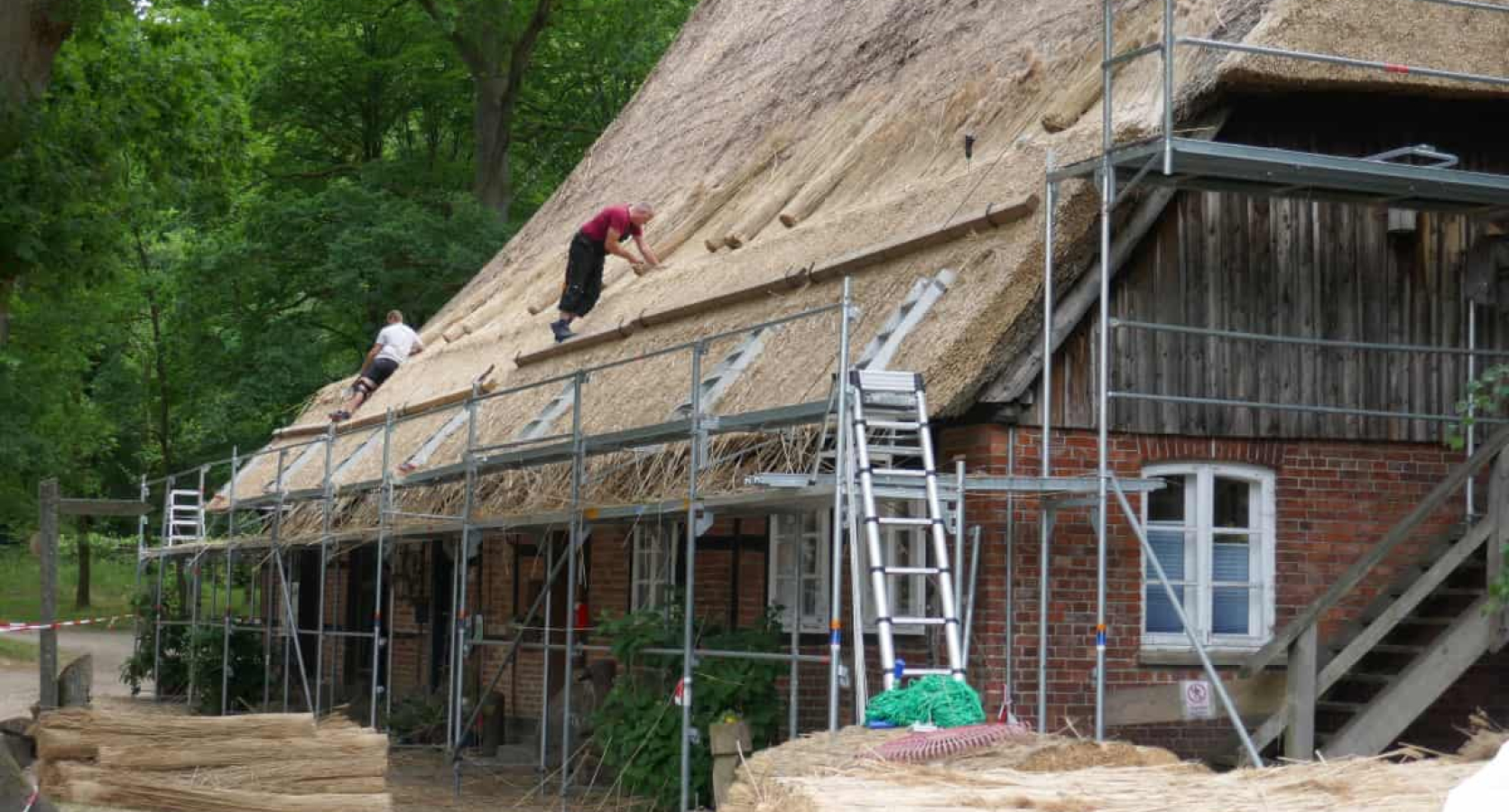 Reetdach-Sanierung im Walderlebnis Ehrhorn - Niedersächsische Landesforsten